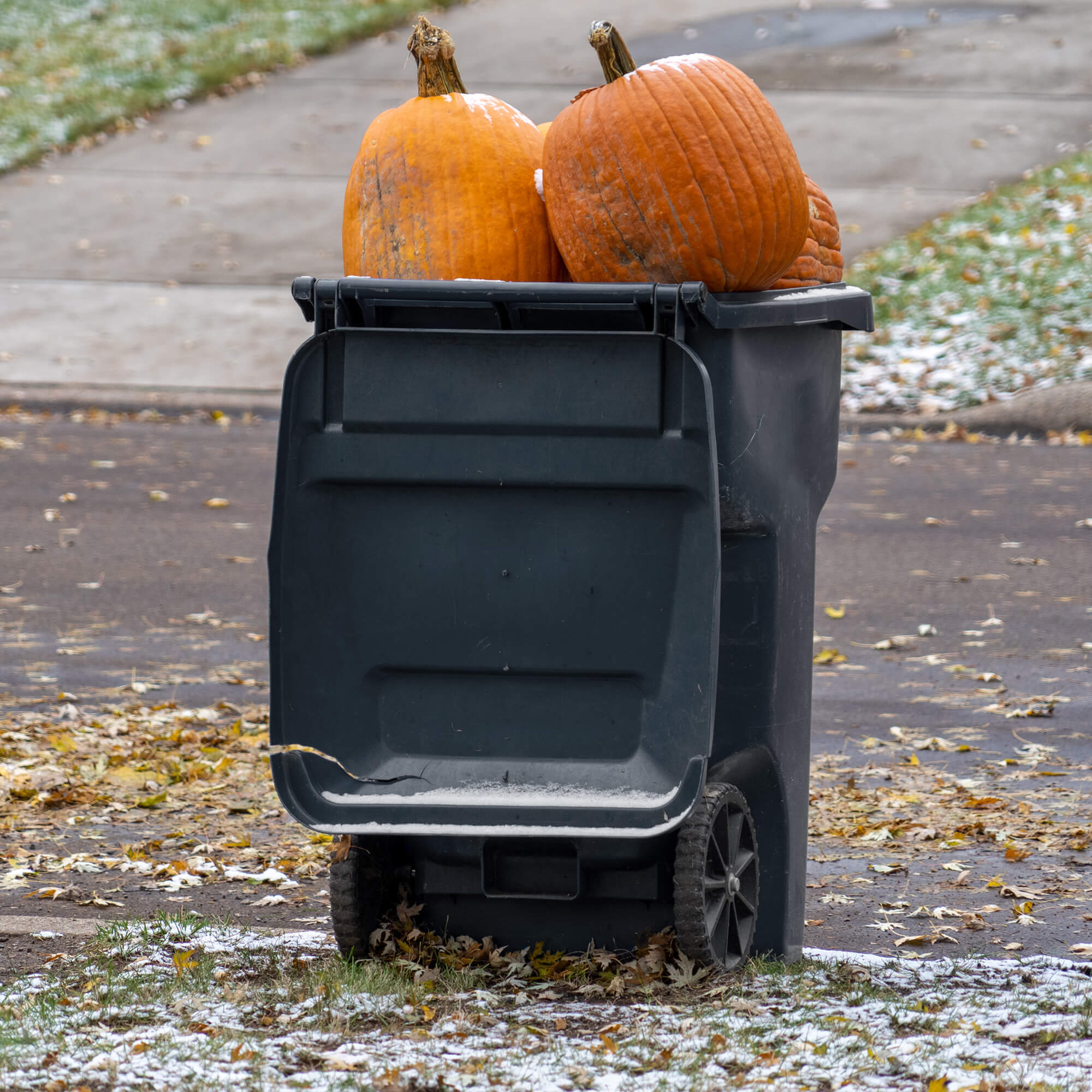 Fall Composting in Minnesota - SET & The Mulch Store Fall Composting in Minnesota - SET & The Mulch Store